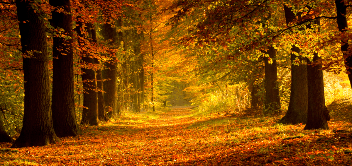 Hope in the New Age - ASU Prep Digital