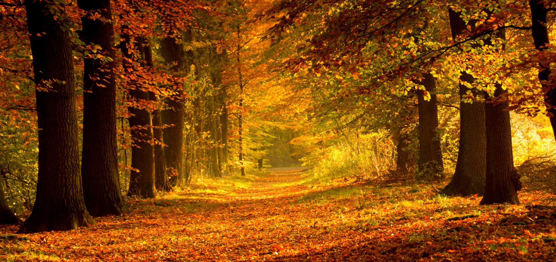 Hope in the New Age - ASU Prep Digital